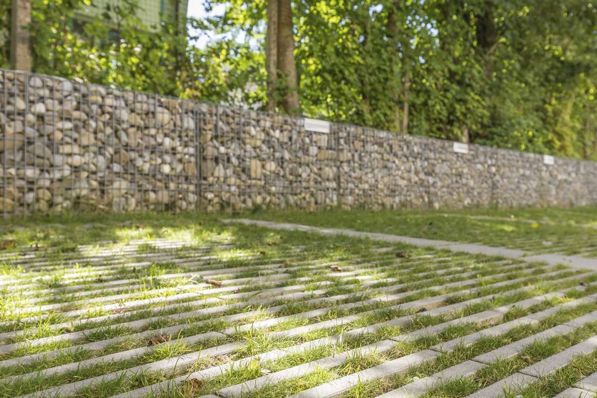 GDM SCADA Rasenliner Platte nativo Grau L/B/D: 40/40 u 40/20/12cm m ...